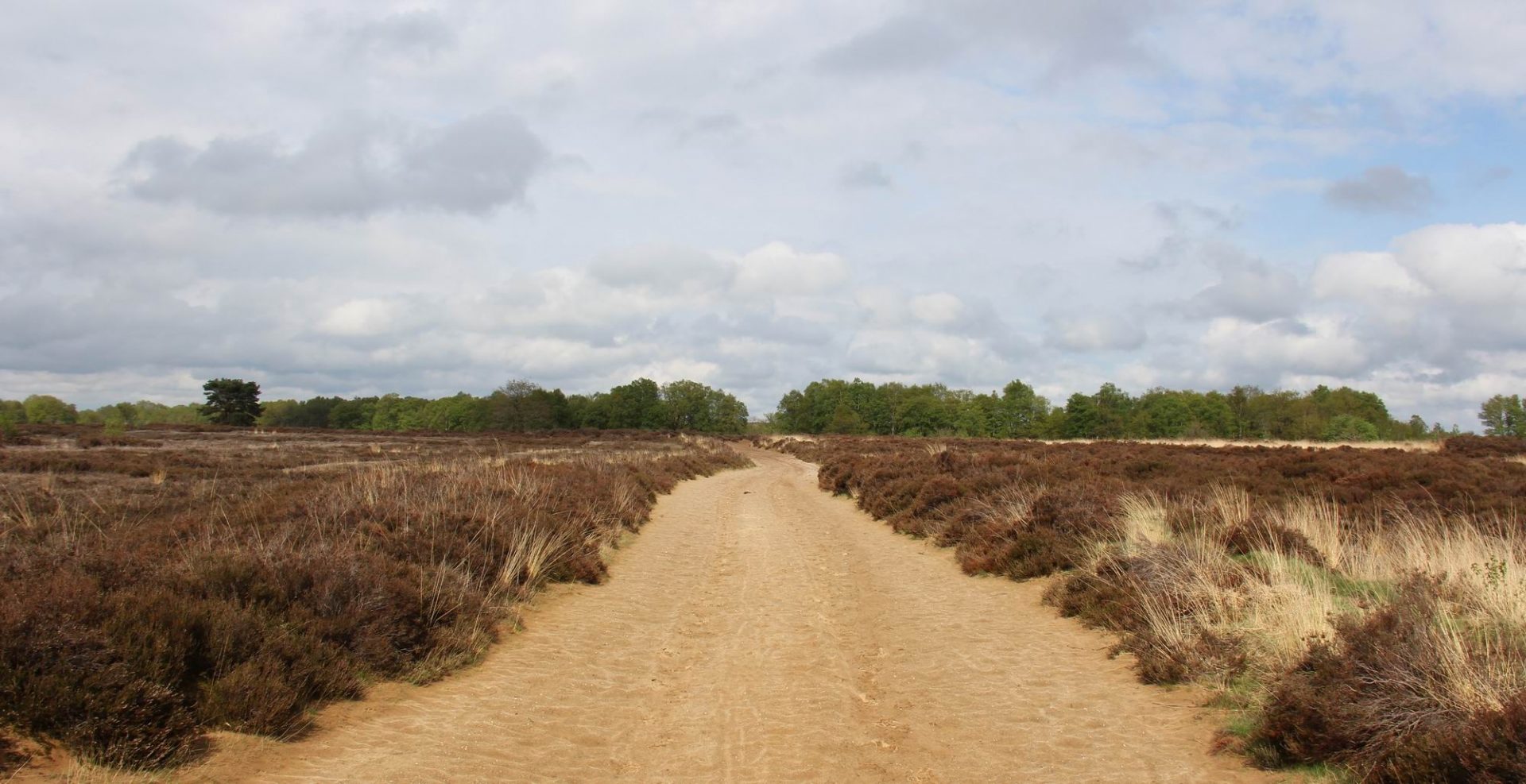 Ballooërveld - Geopark De Hondsrug