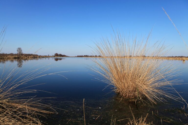Bargerveen - Geopark De Hondsrug