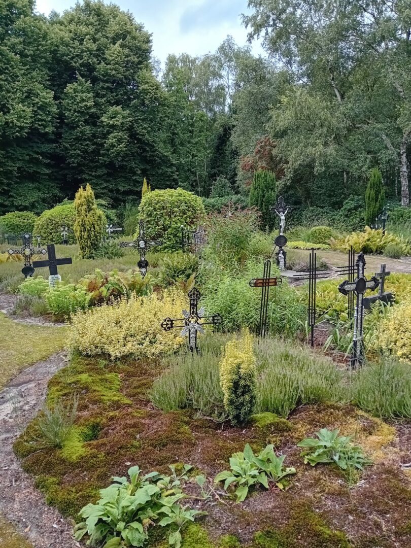 Het Veenpark - Geopark De Hondsrug